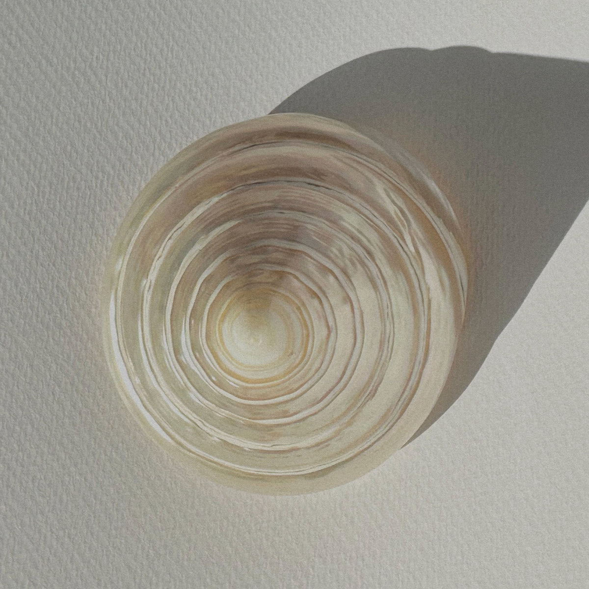 ESPIRAL – Erre Art Studio